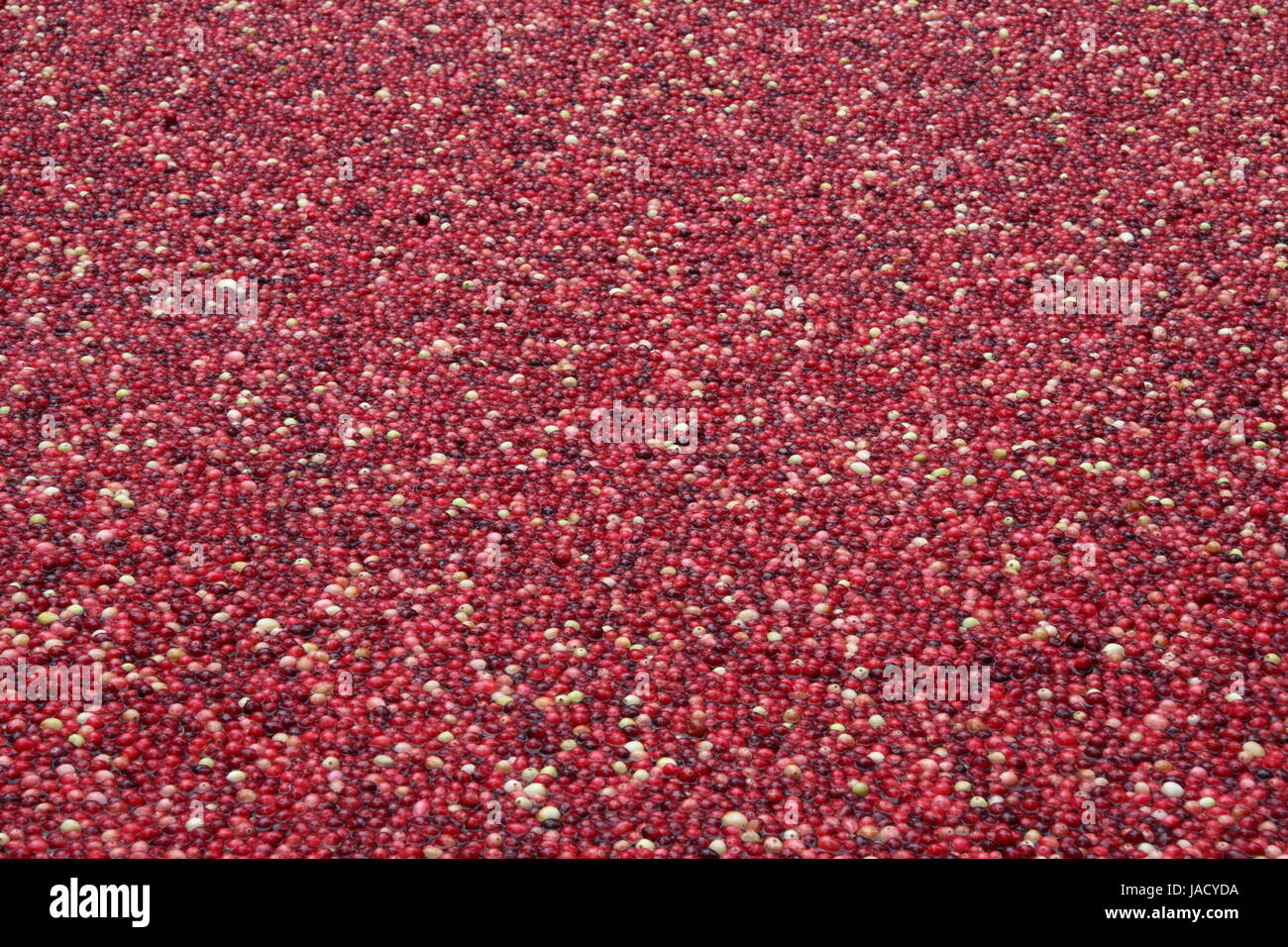 Floating fruit hi-res stock photography and images - Alamy