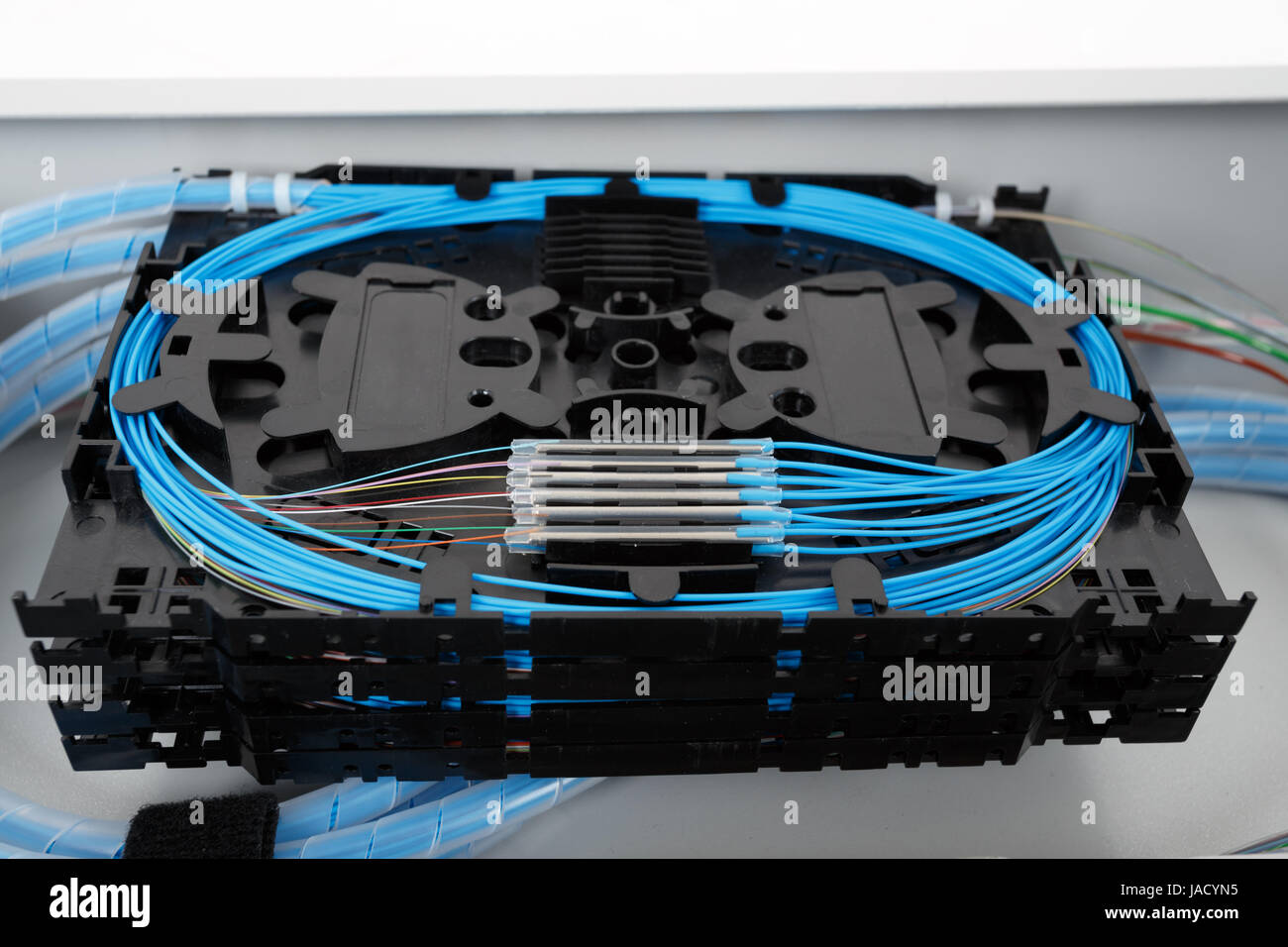 stack of fiber optic splice cassettes with protection sleeve and blue ...