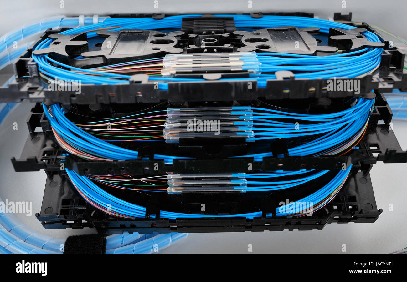 stack of fiber optic splice cassettes with protection sleeve and blue ...