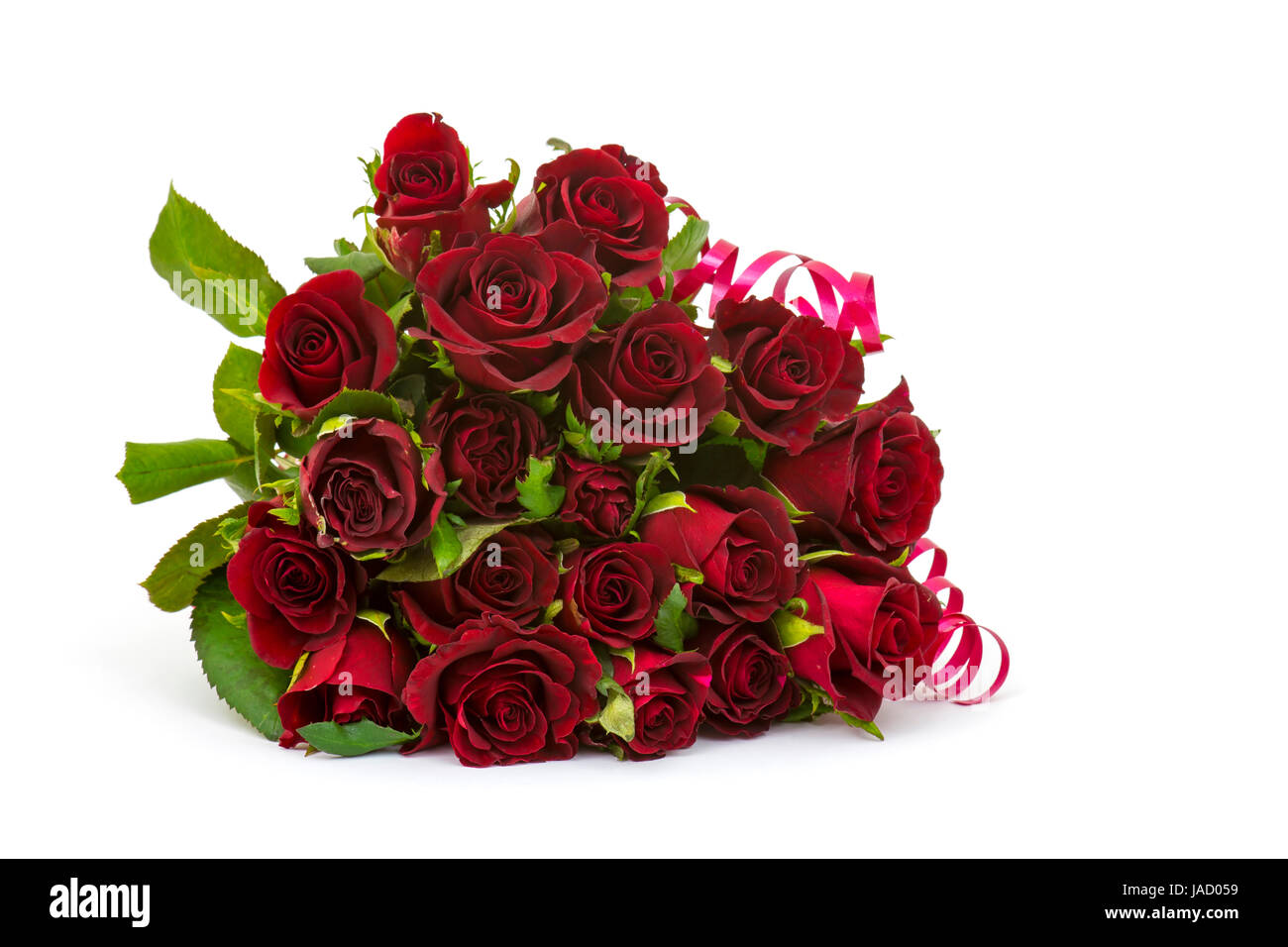 red roses on white background Stock Photo - Alamy