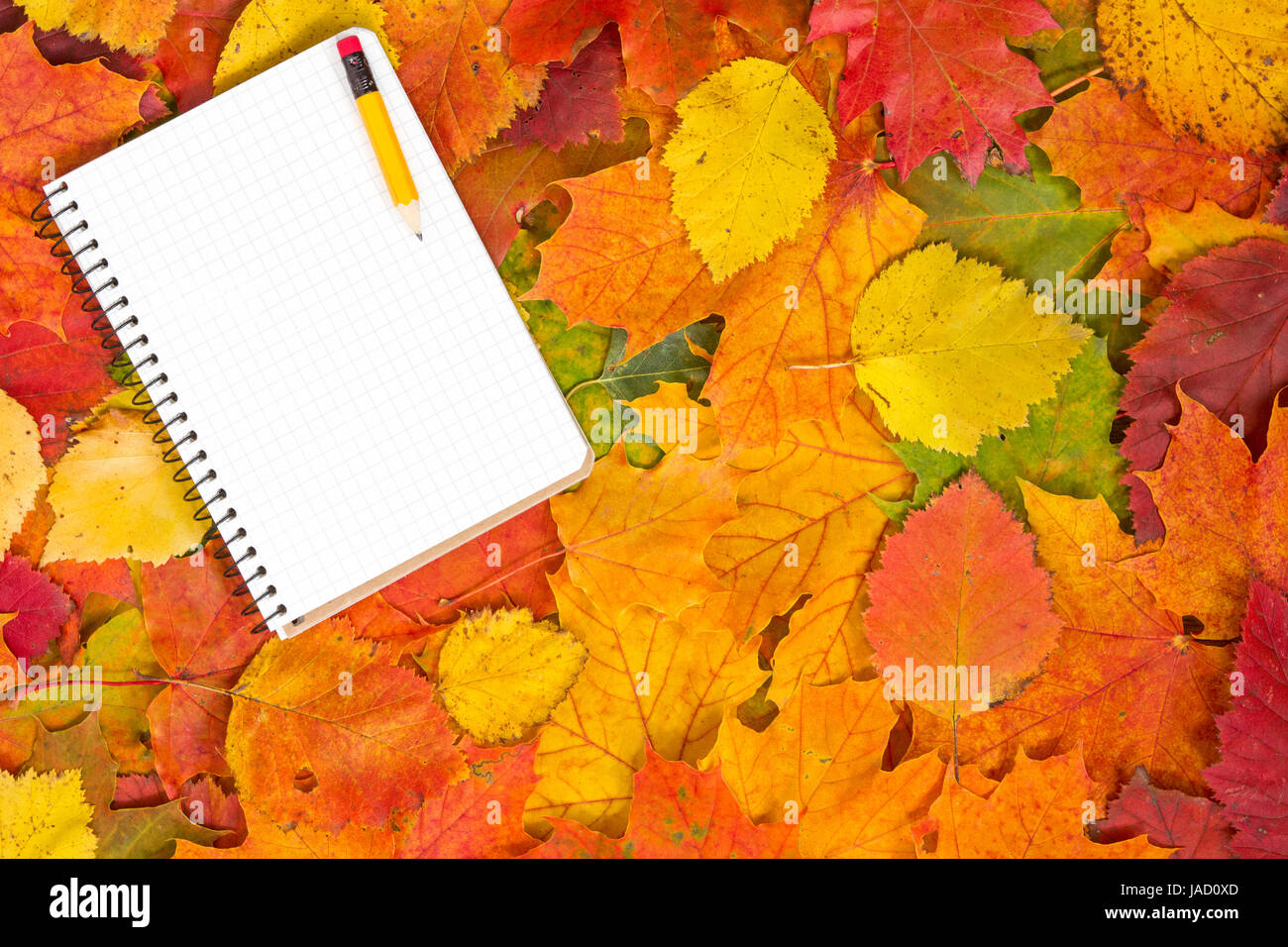 Blank notebook with pencil on the autumnal leaves background Stock ...