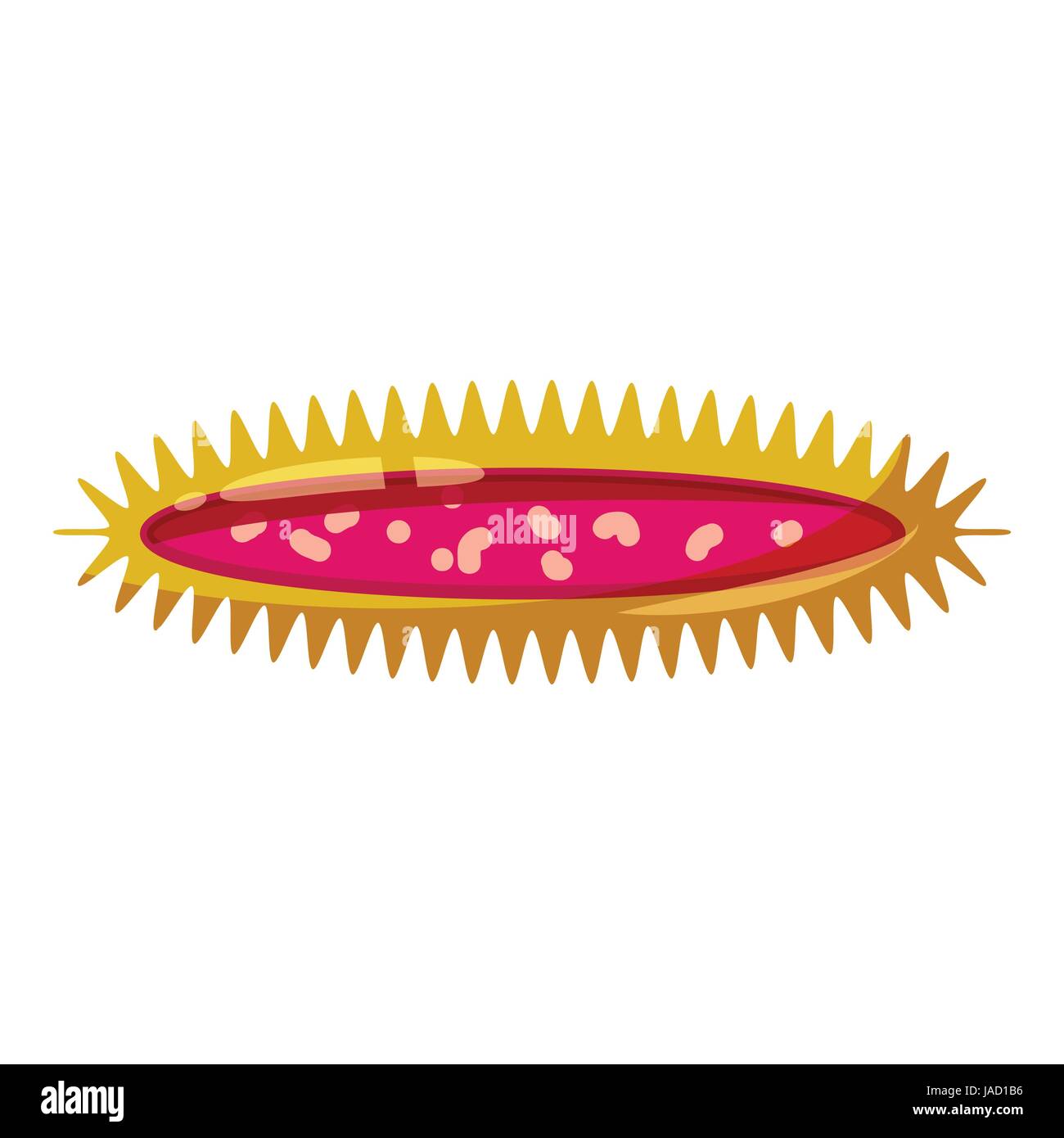 Escherichia coli cartoon Stock Vector Images - Alamy