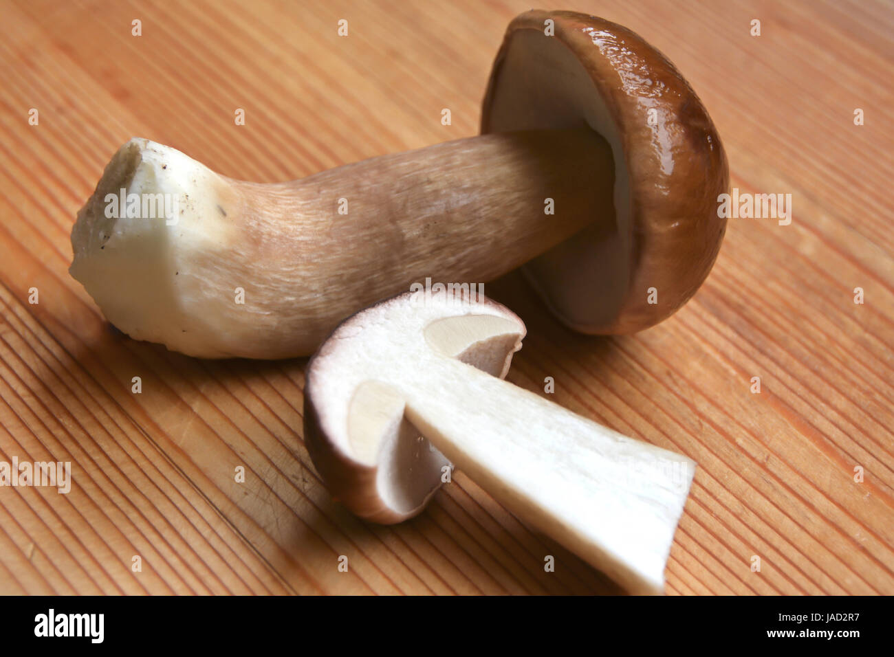 Collecting ceps hi-res stock photography and images - Alamy