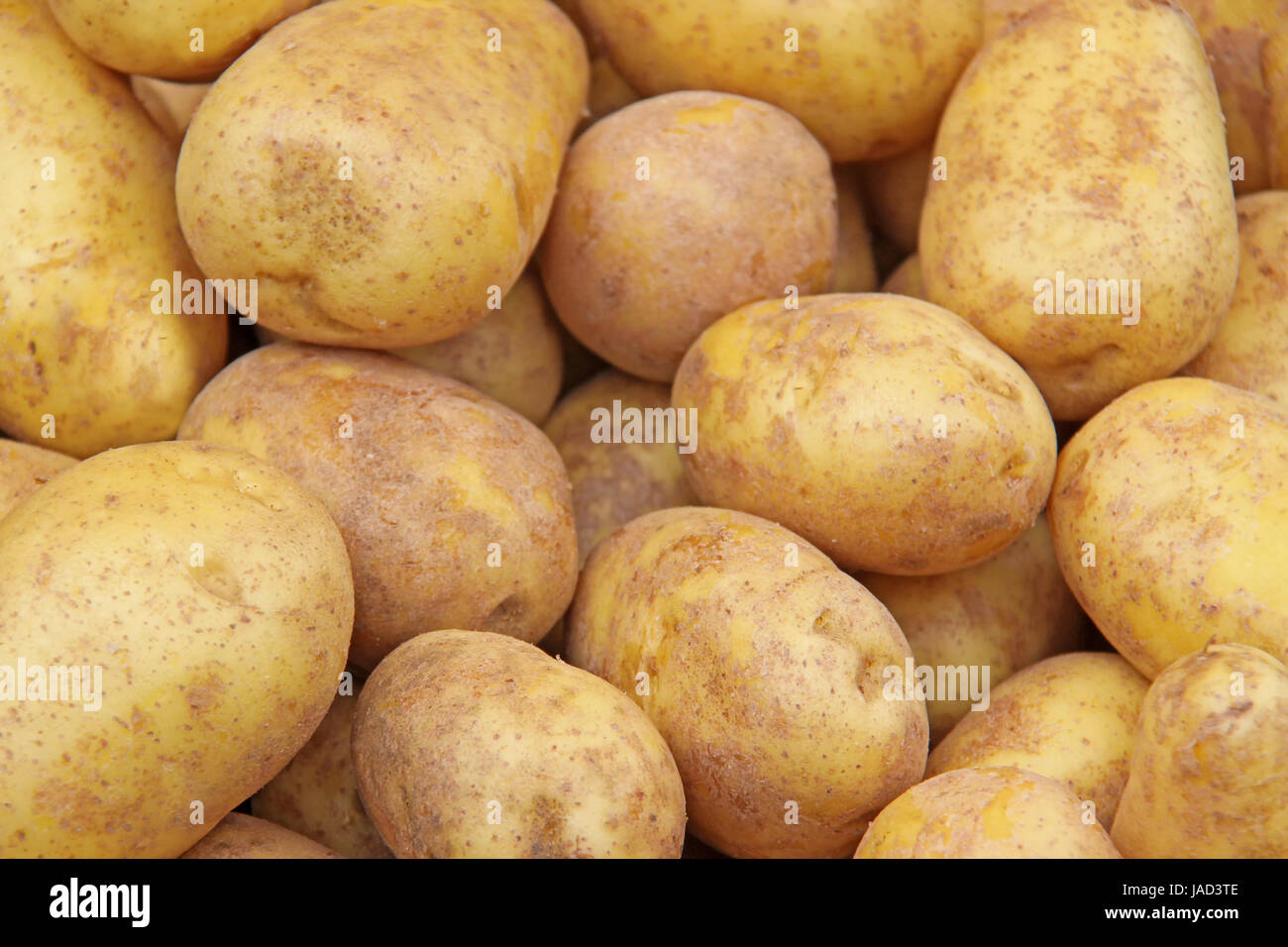 Marabel hi-res stock photography and images - Alamy