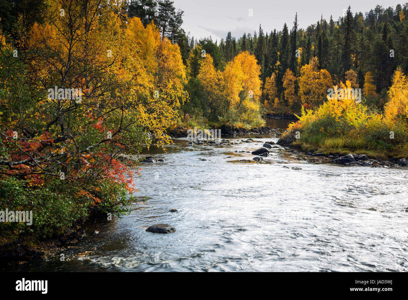 Devios hi-res stock photography and images - Alamy