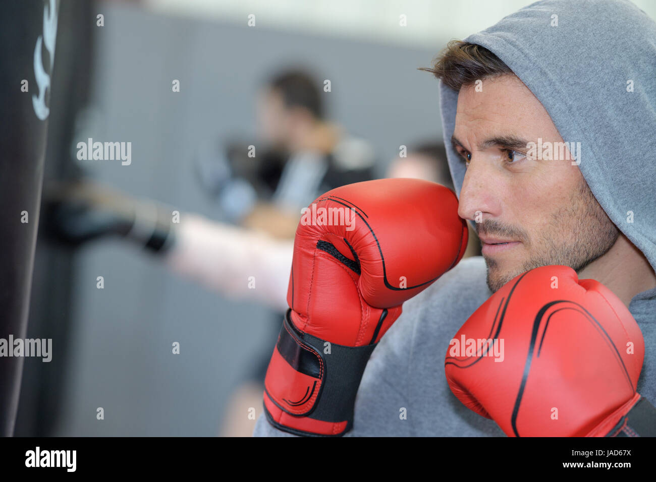 the young boxer Stock Photo - Alamy