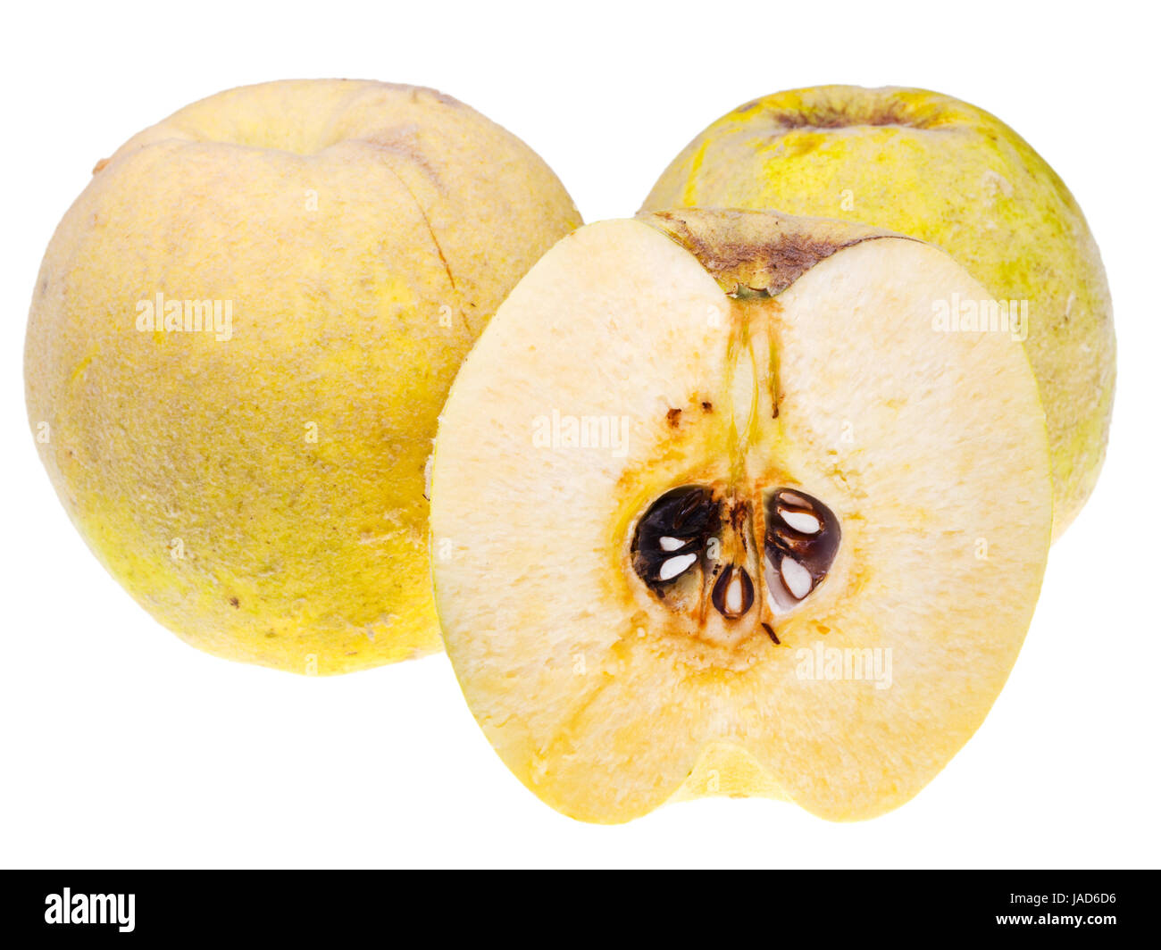 ripe quince isolated on white background Stock Photo - Alamy