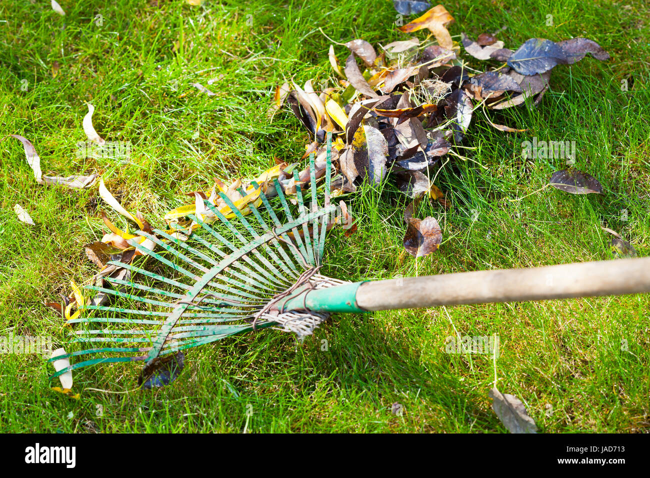 Tooth rake hi-res stock photography and images - Alamy