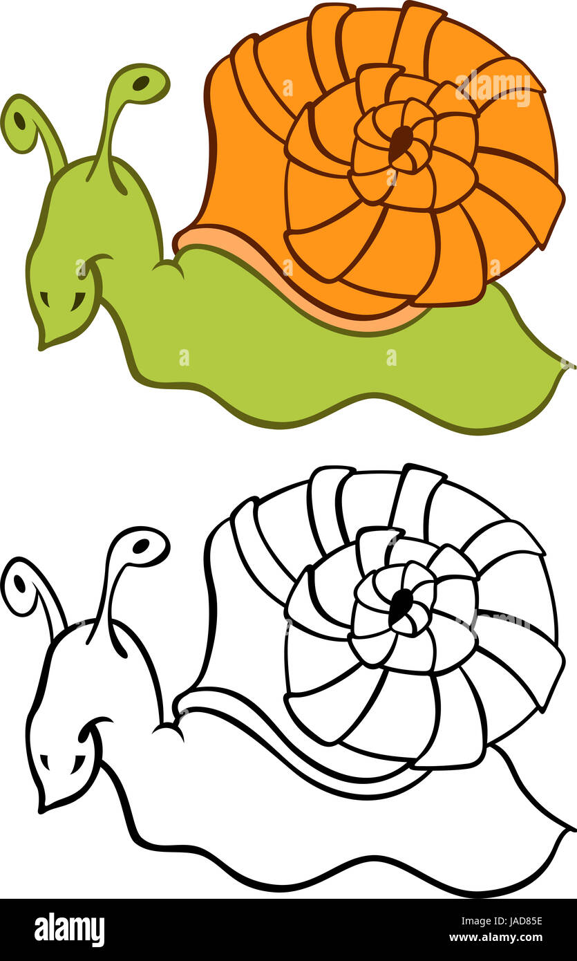 Illustration of a cartoon snail crawling with his home shell Stock ...