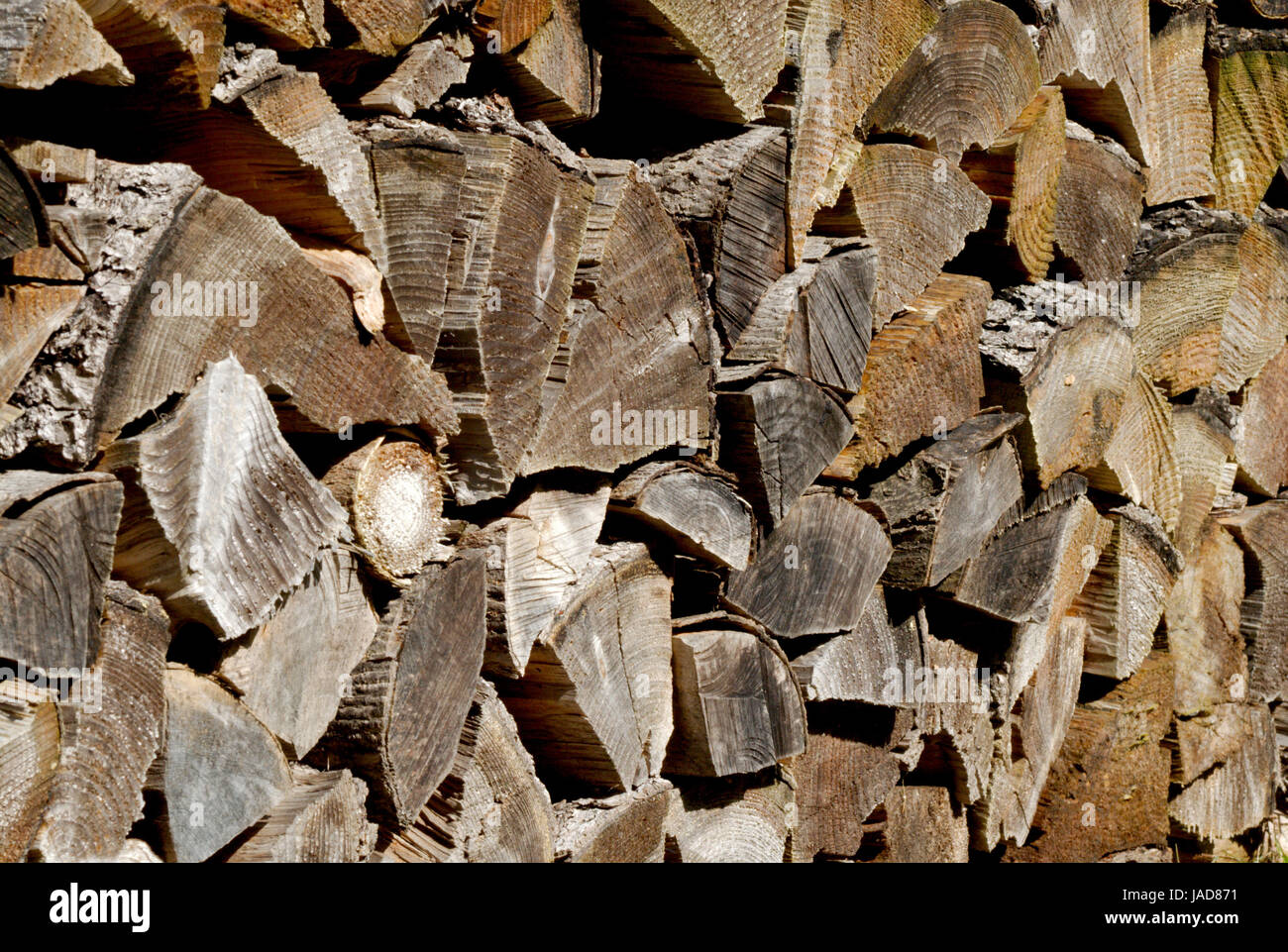 Jagged tree stump hi-res stock photography and images - Alamy