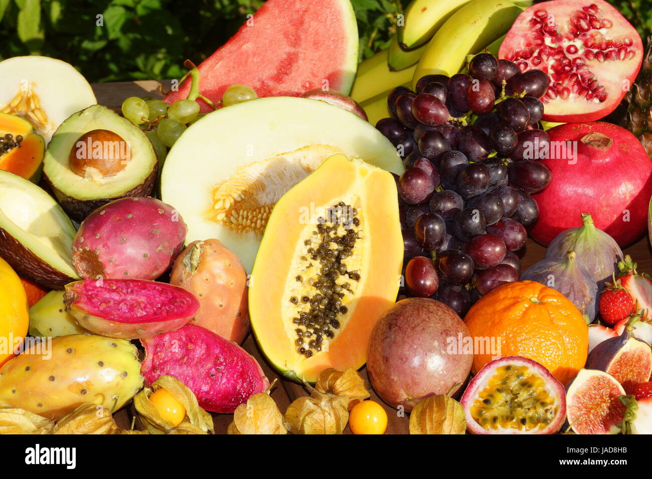 Coconut fruit bunches hi-res stock photography and images - Alamy