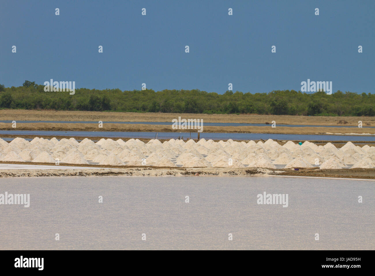 Salt in the Saline in rural Thailand Stock Photo - Alamy