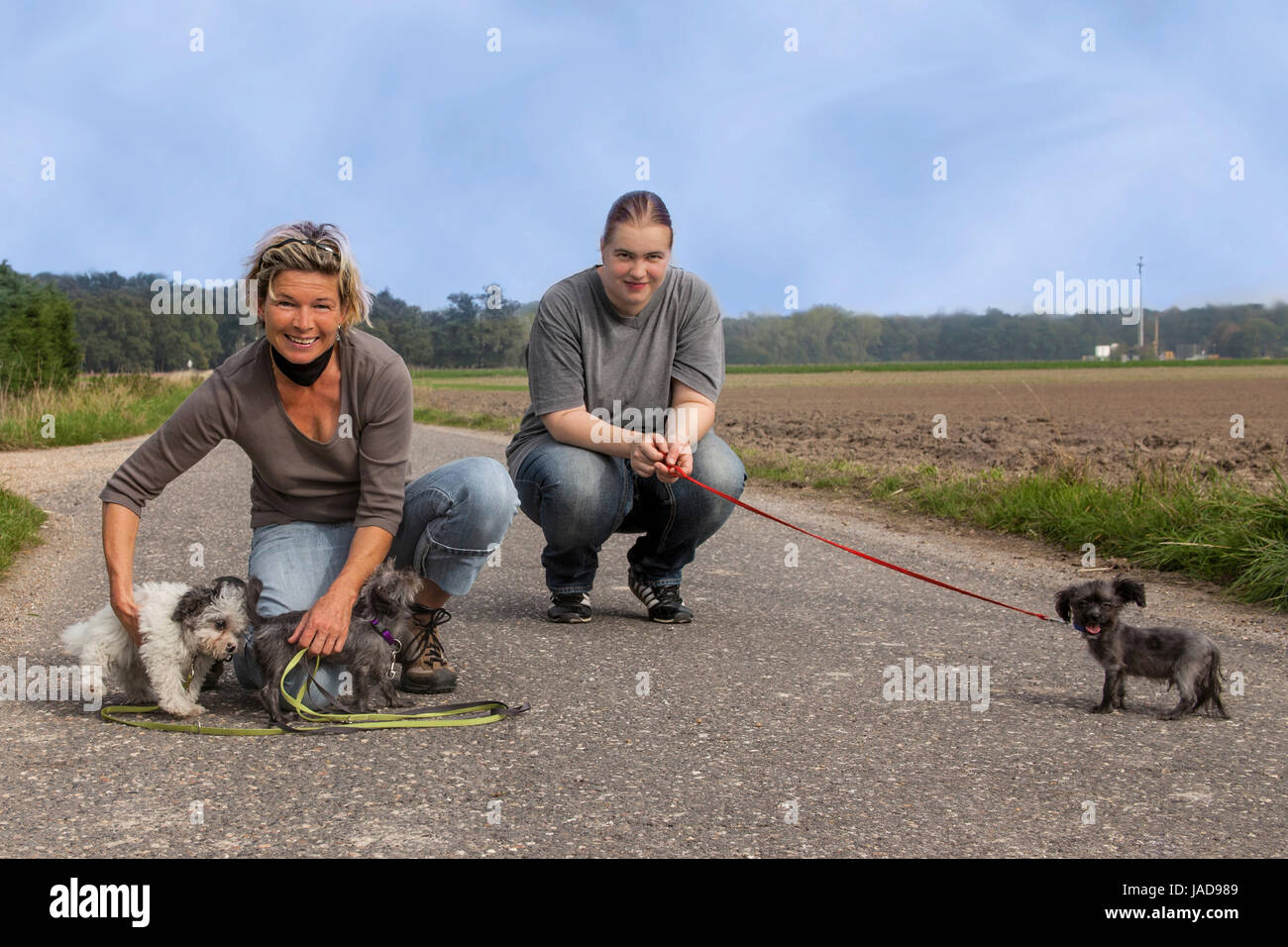 Leinentraining hi-res stock photography and images - Alamy
