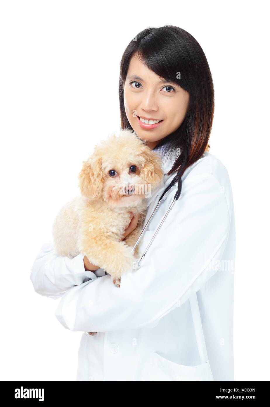 Asian female veterinarian Stock Photo - Alamy