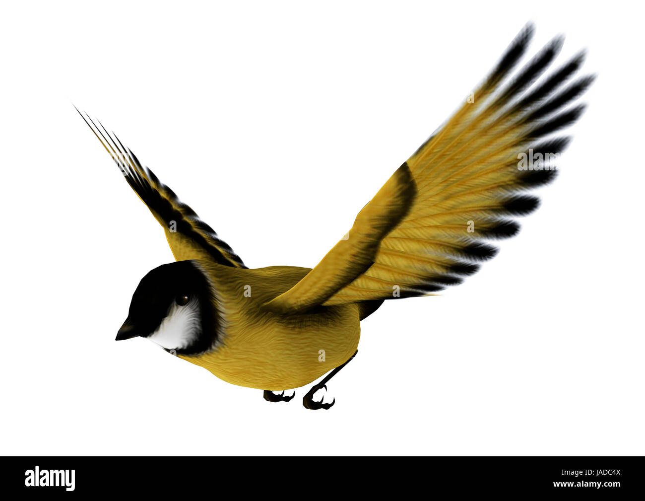 3D digital render of a flying songbird goldfinch isolated on white ...