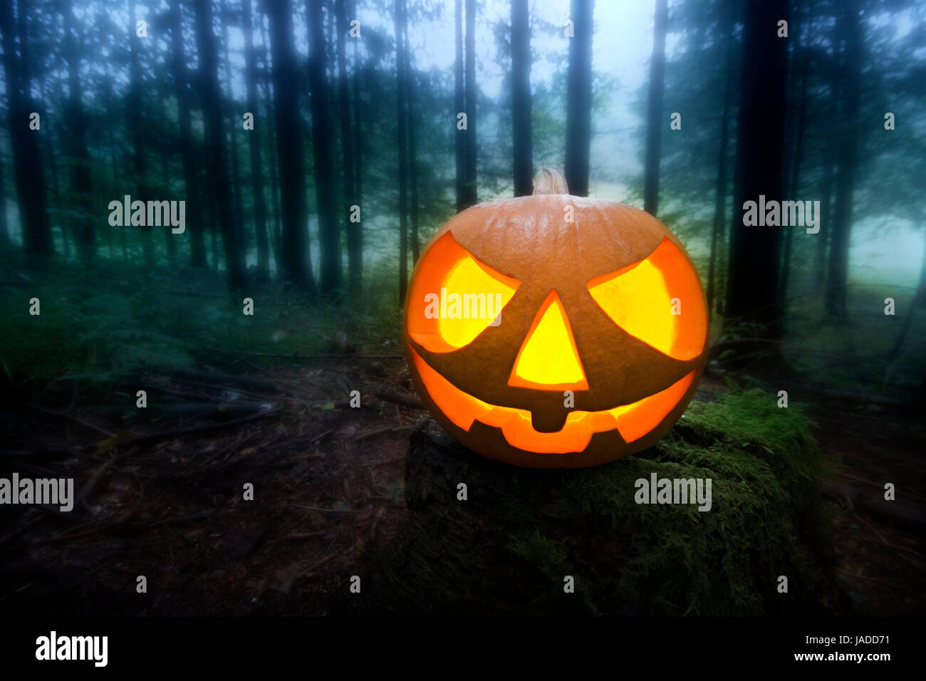 Scary halloween pumpkin in the dark forest at night Stock Photo - Alamy