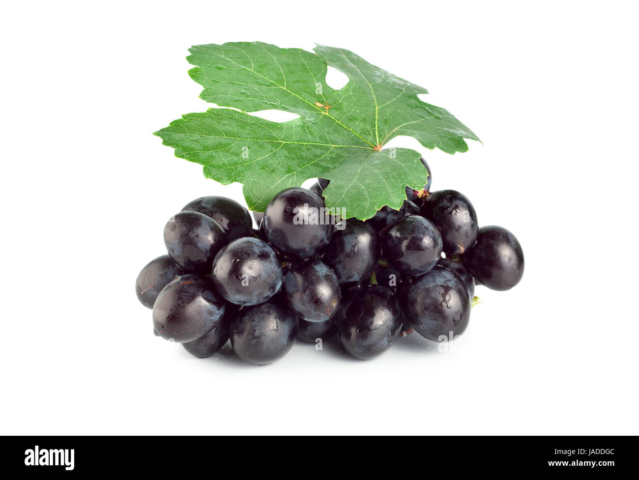 Blue grape isolated on white background Stock Photo - Alamy