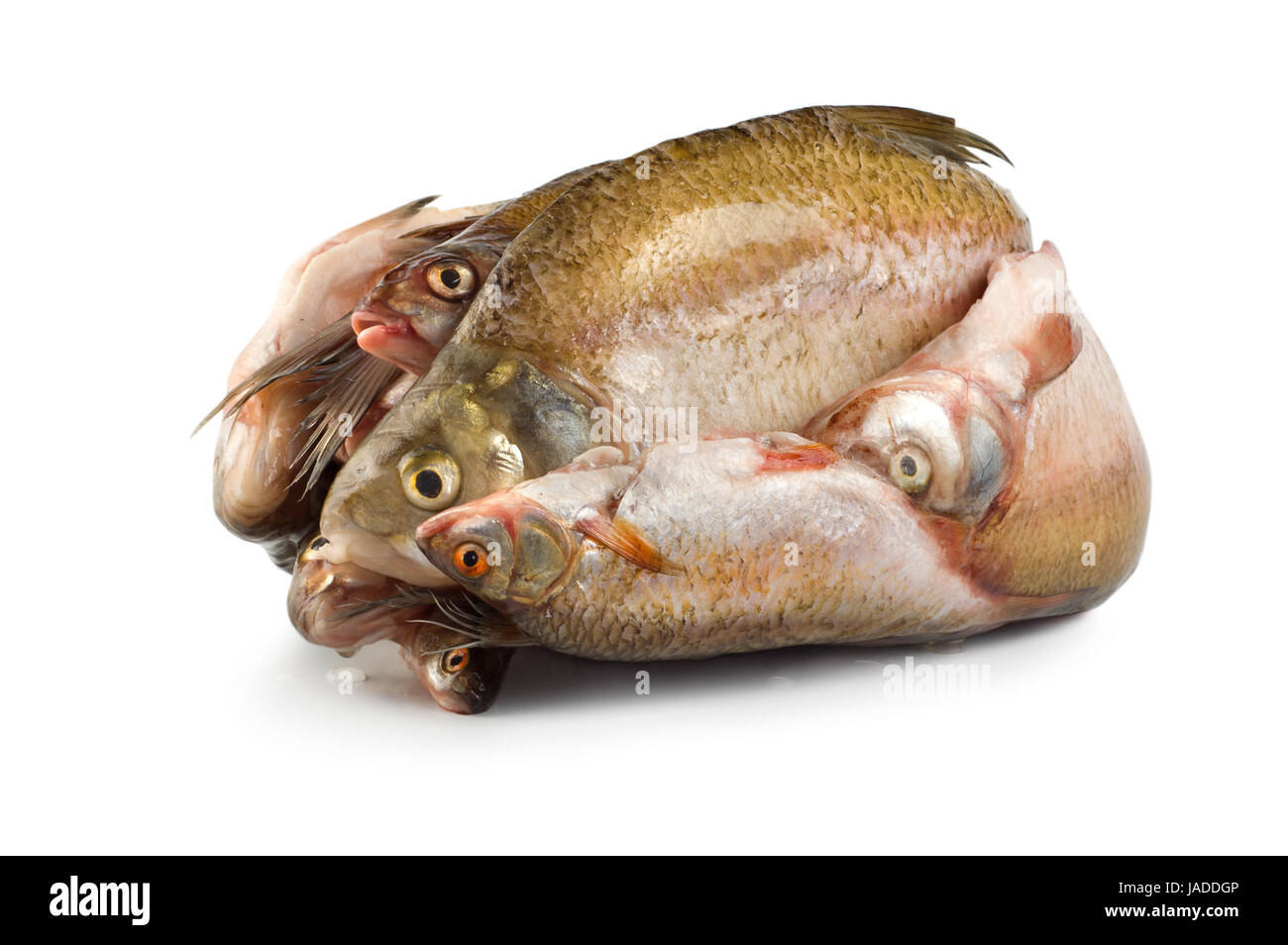 Frozen fish isolated on white background Stock Photo - Alamy
