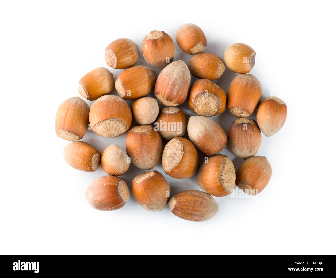 Heap of hazelnuts isolated on a white background Stock Photo - Alamy