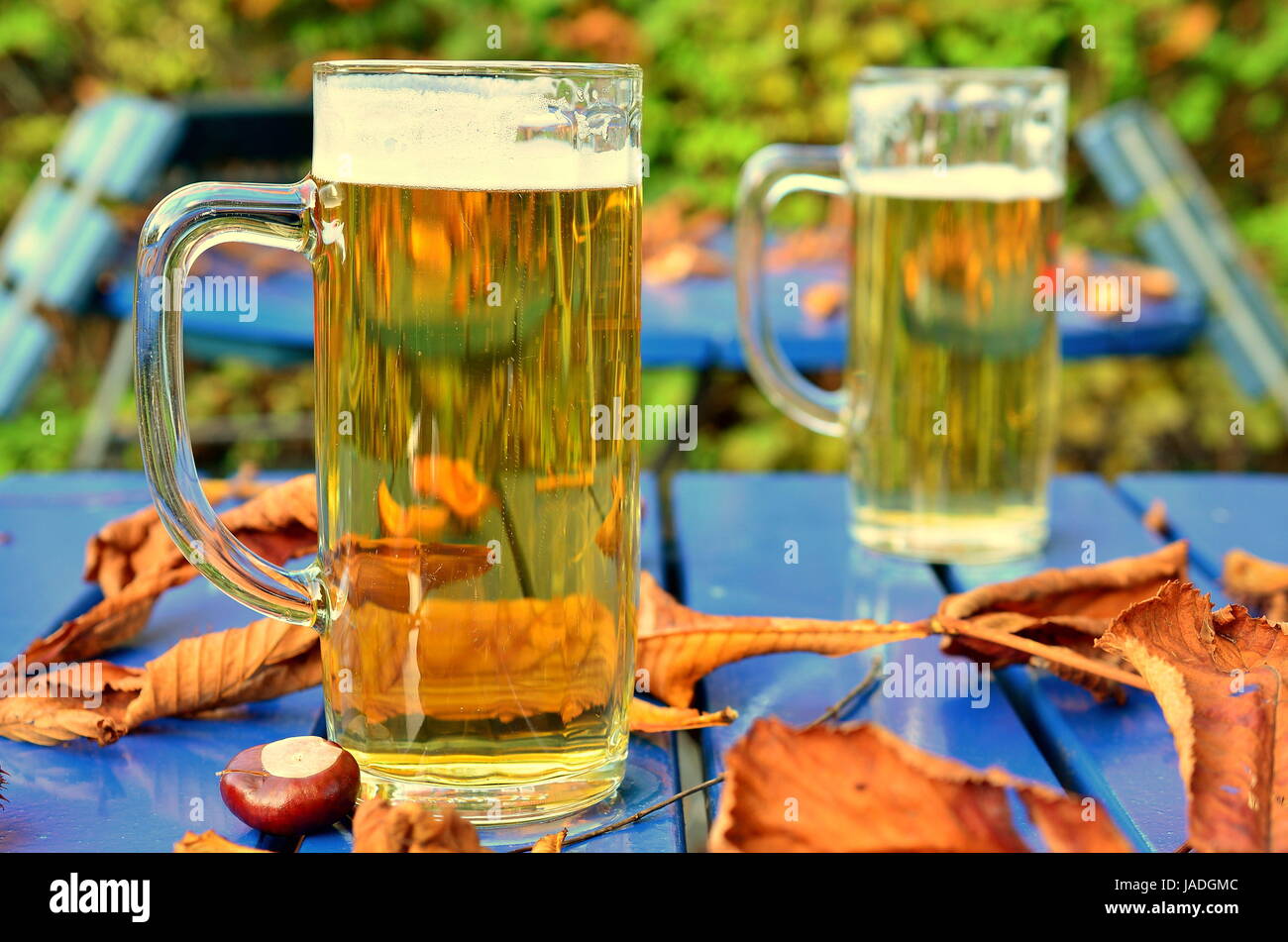 drinking beer in autumnal beer garden Stock Photo - Alamy