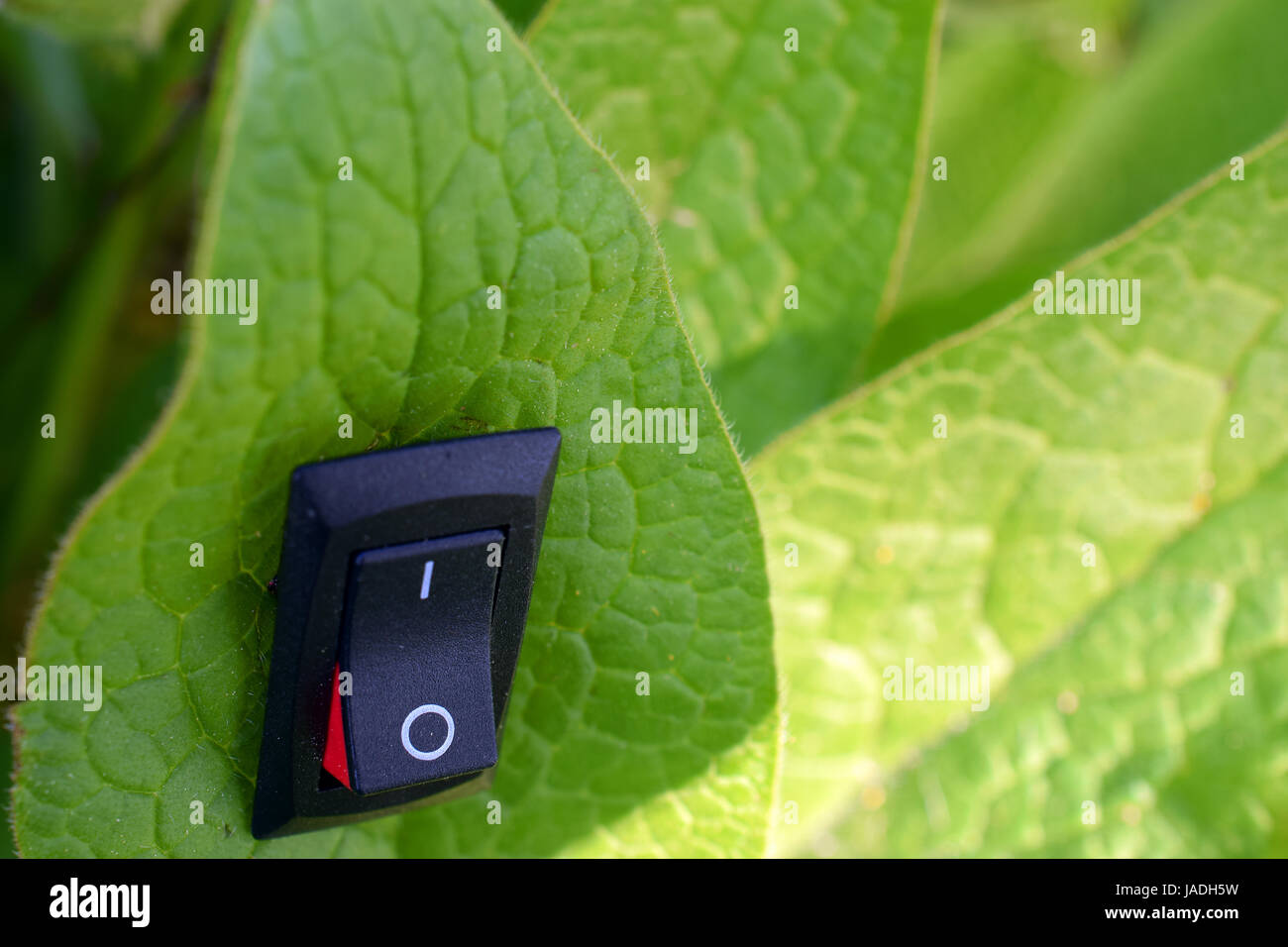 Leaf with inserted power switch turned to position on. Unique ...