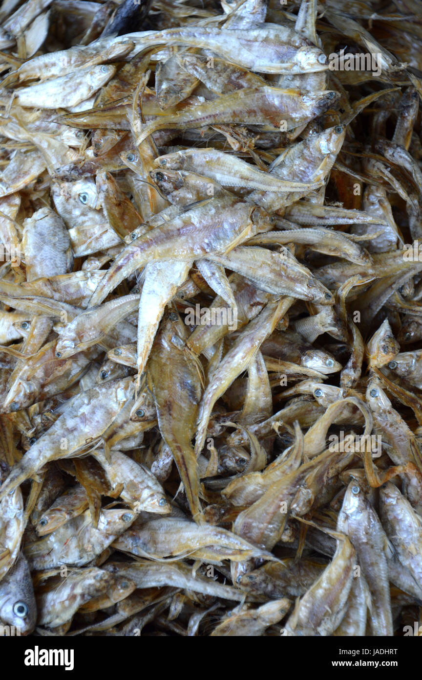 patterns of dried fish background Stock Photo - Alamy