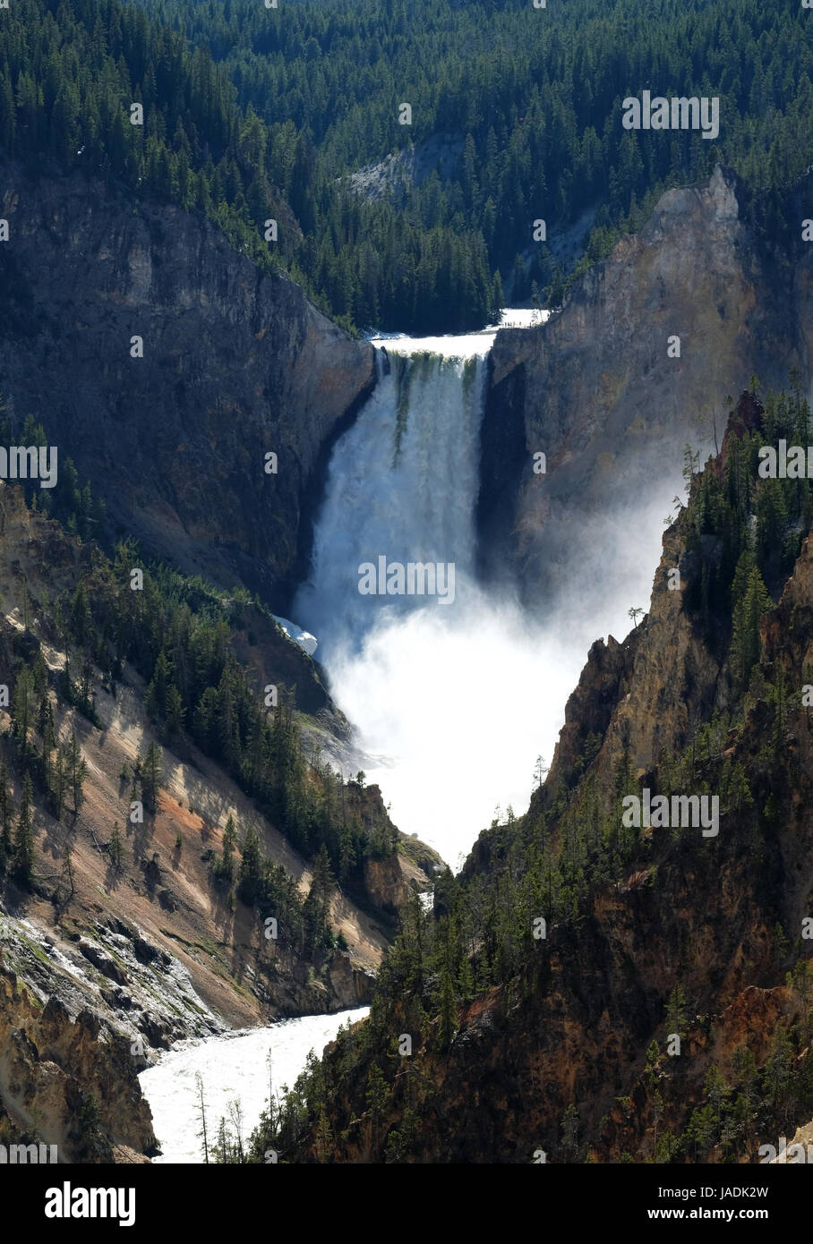 View from Artists point of Lower Falls on the Yellowstone River in the ...
