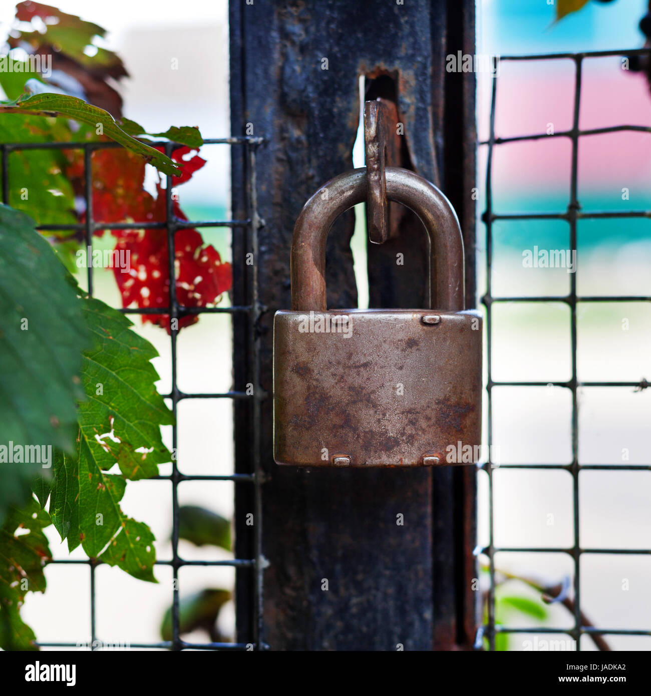 locked padlock on gate close up outdoors Stock Photo - Alamy