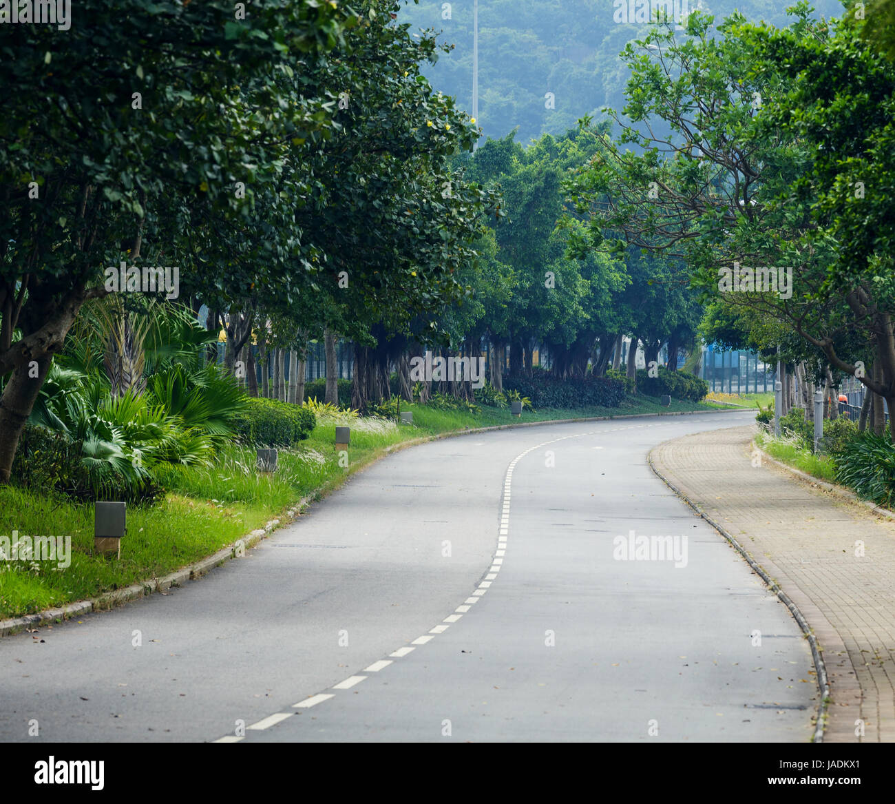 Vehicle path with tree Stock Photo - Alamy