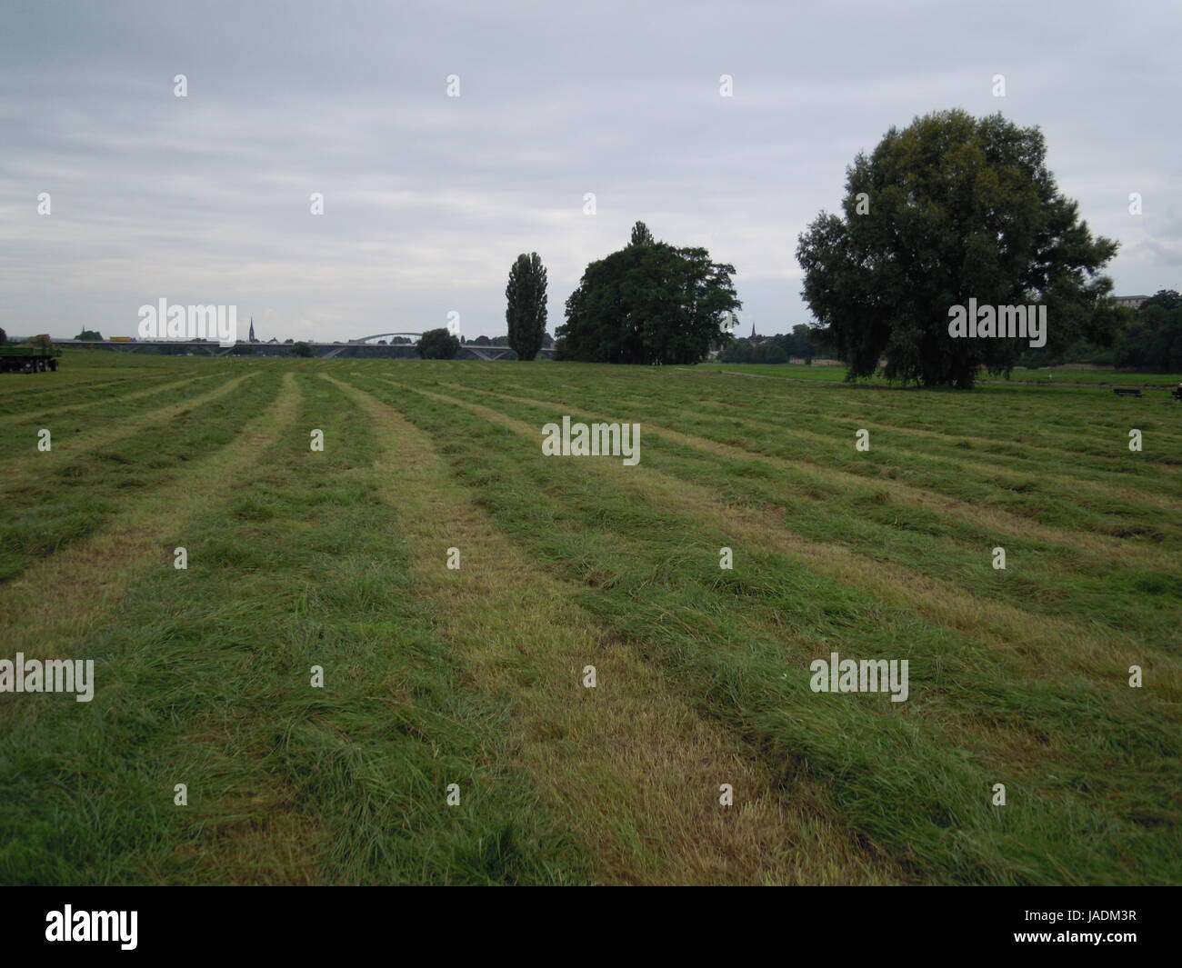 german federal republic meadow Stock Photo - Alamy