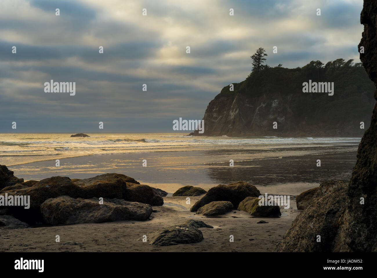 Golden waves from late afternoon sun break on Washington’s Ruby Beach ...