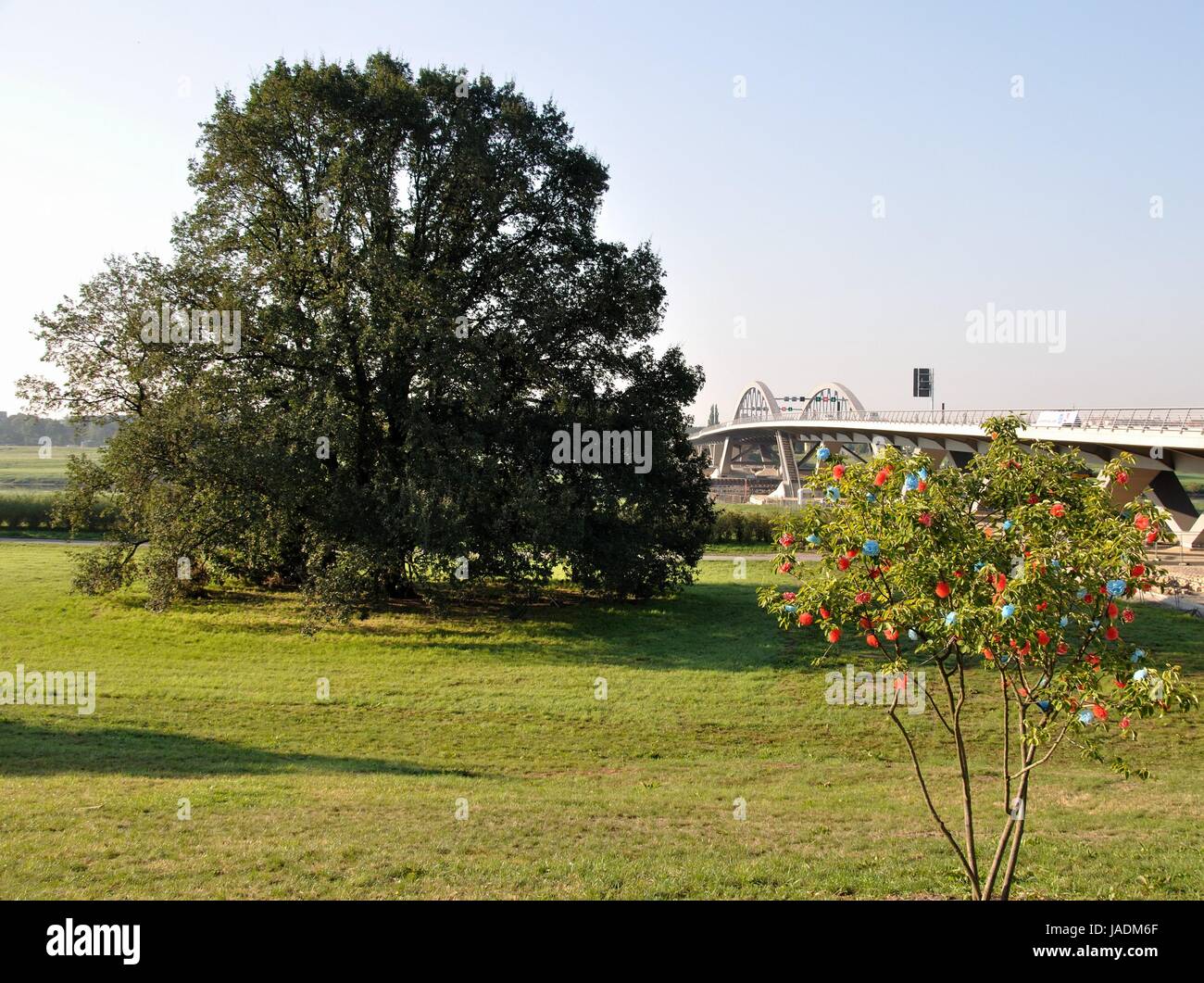 german federal republic meadow Stock Photo - Alamy