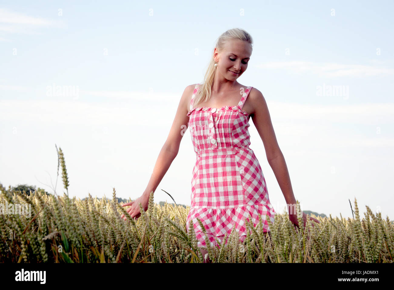 young woman in corn field Stock Photo - Alamy