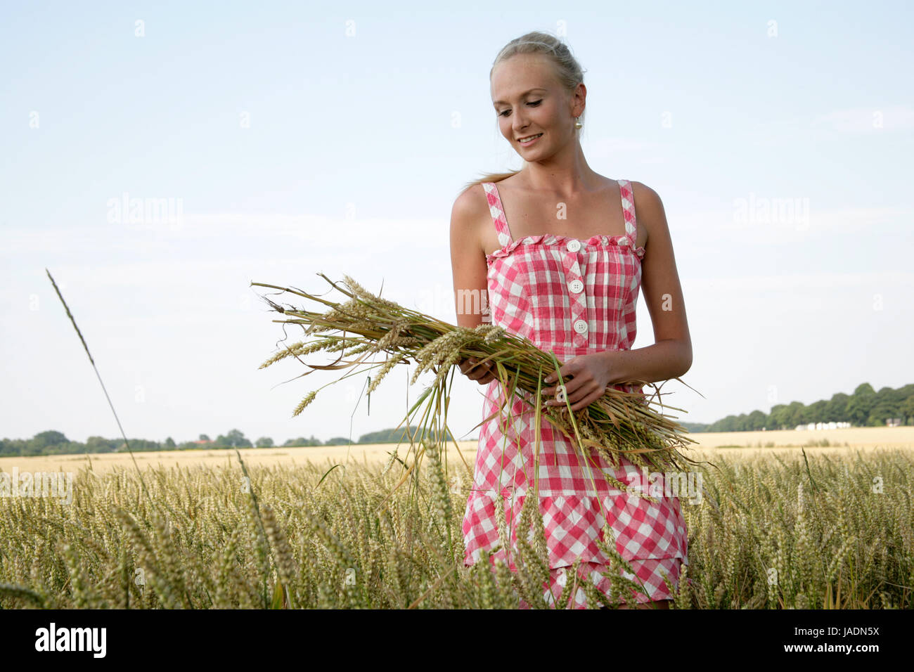 young woman in corn field Stock Photo - Alamy