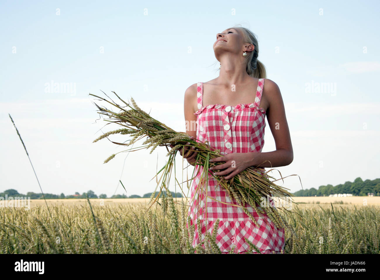 young woman in corn field Stock Photo - Alamy