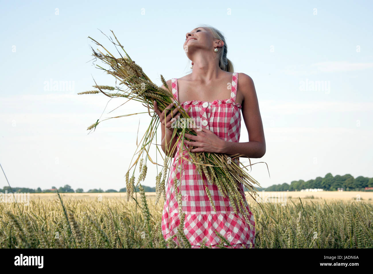 young woman in corn field Stock Photo - Alamy