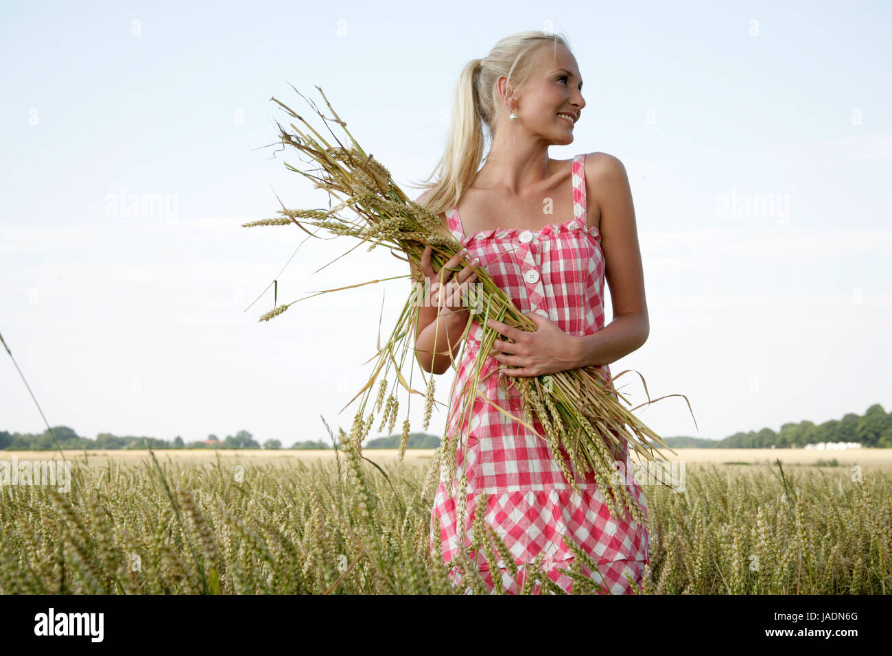 young woman in corn field Stock Photo - Alamy