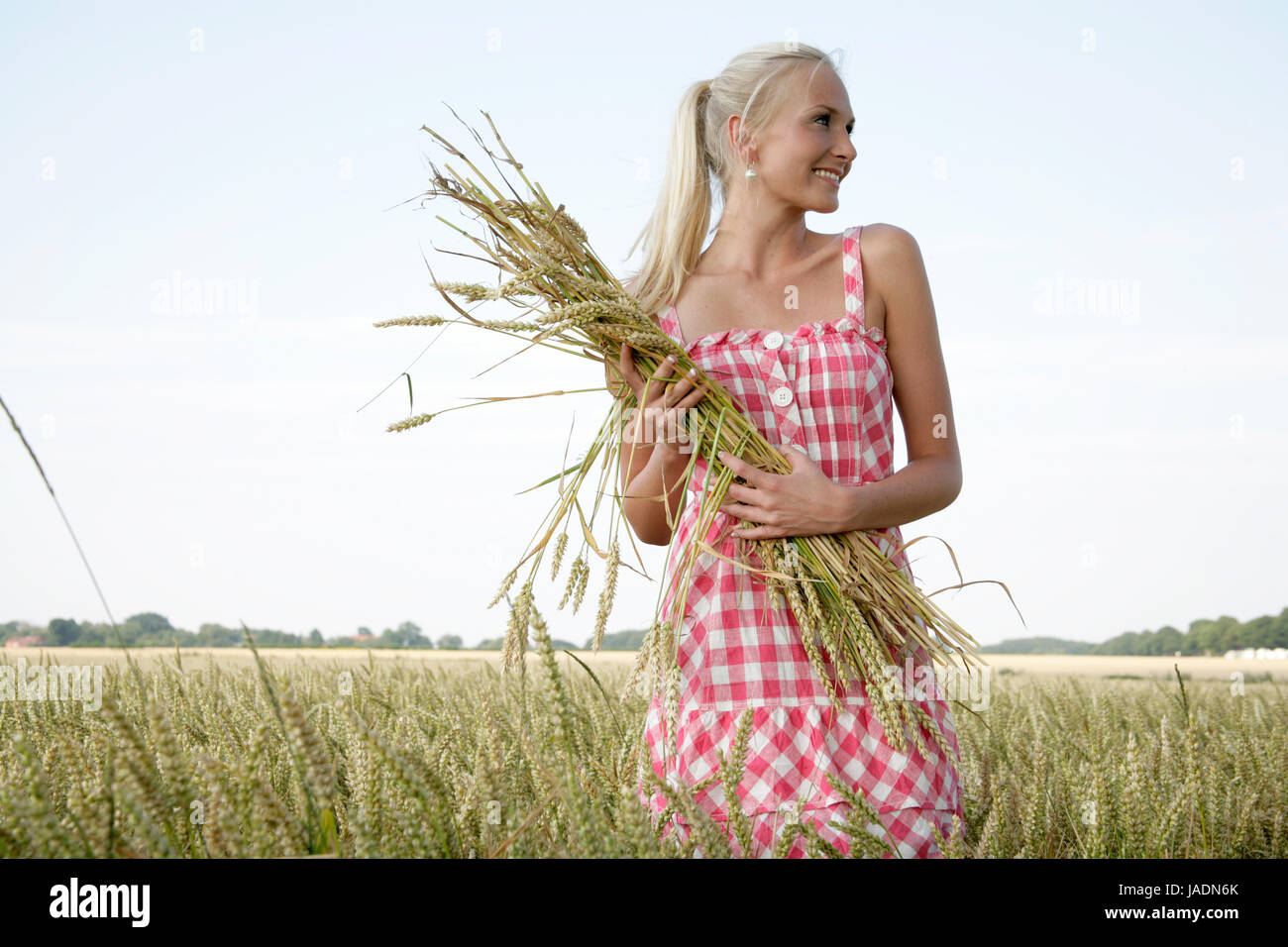 young woman in corn field Stock Photo - Alamy