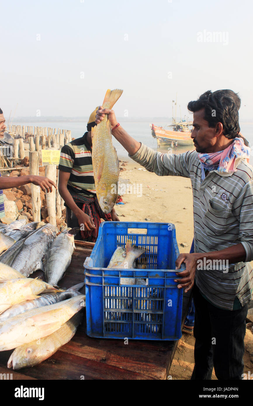 Sea beach of digha hi-res stock photography and images - Alamy