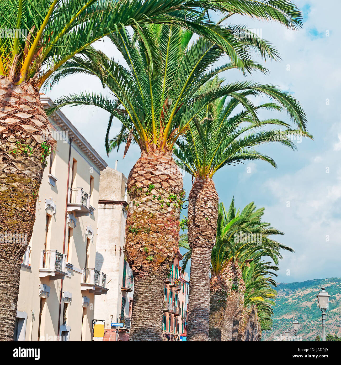 Bosa riverfront with palm trees Stock Photo - Alamy