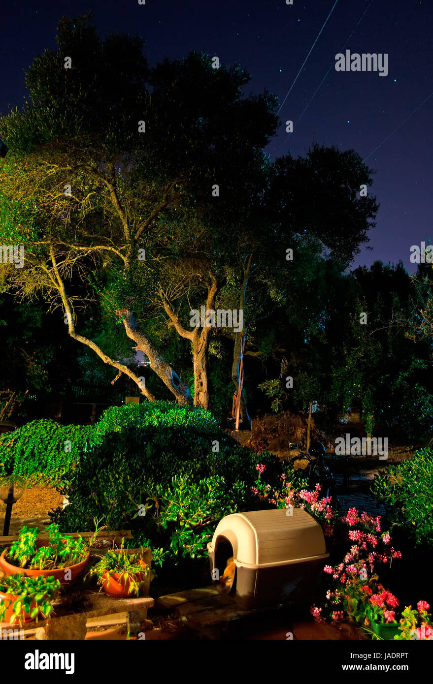 house garden on a clear starry night Stock Photo - Alamy