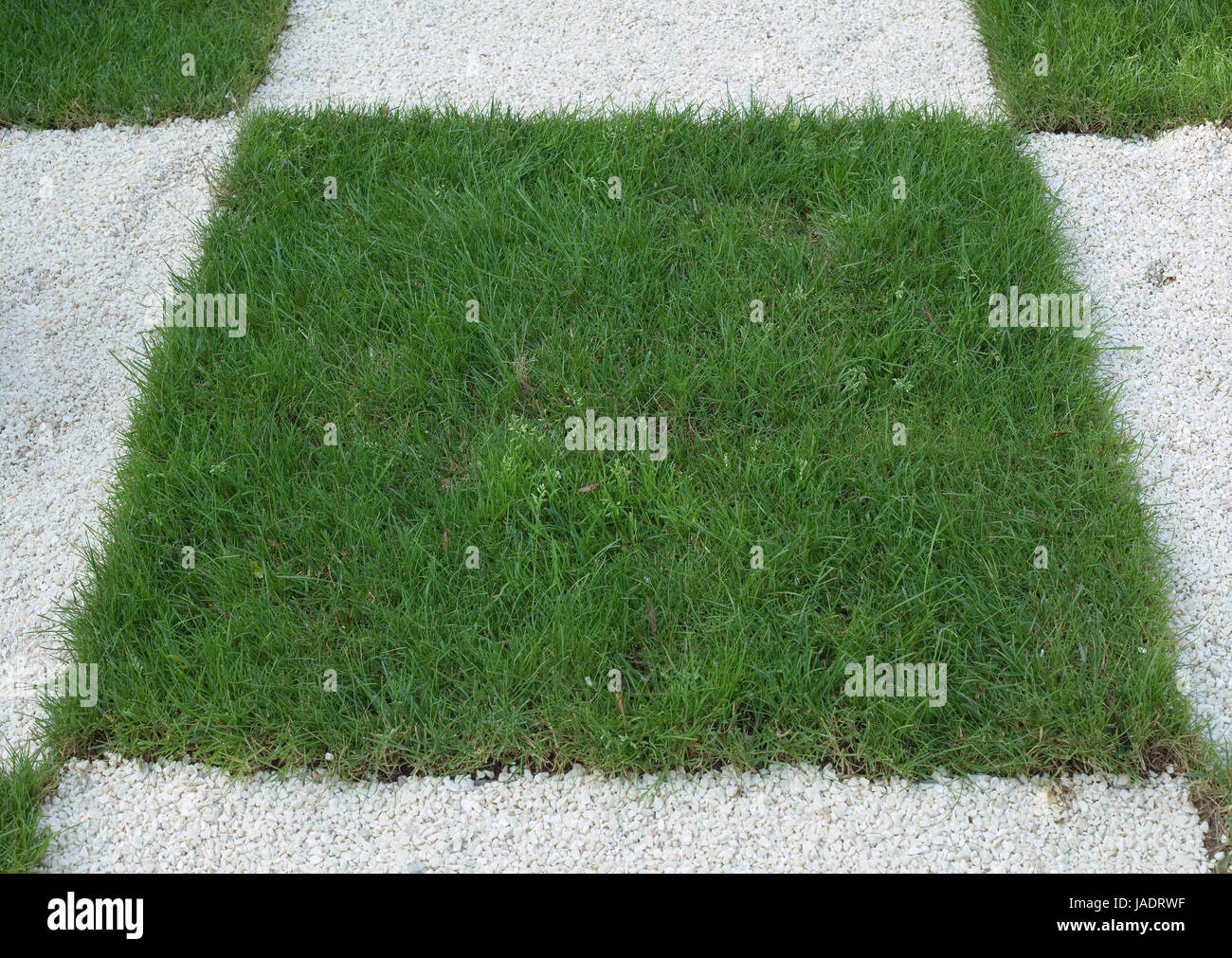 Checkered Grass Turf with White Rocks Stock Photo - Alamy