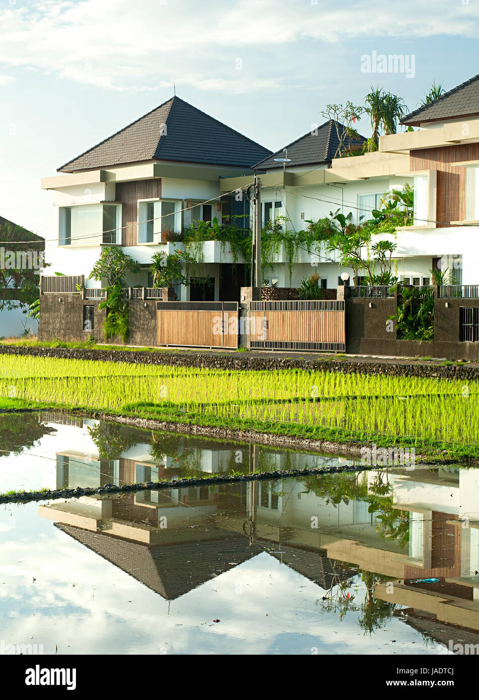 Villas reflecting in rice field at sunset on Bali island, Indonesia ...