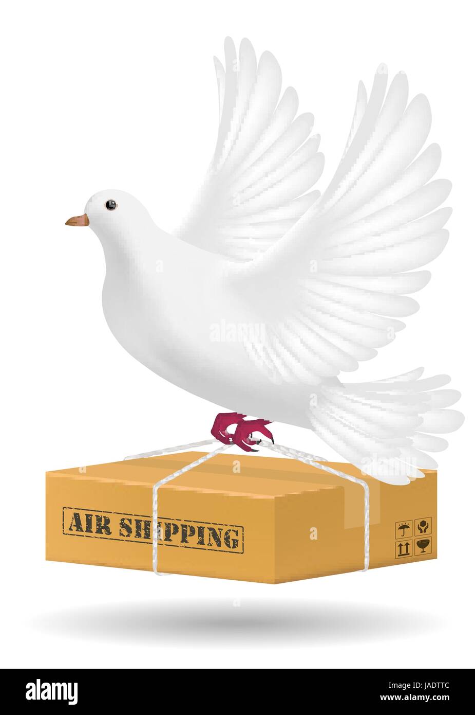 Courier pigeon hi-res stock photography and images - Alamy