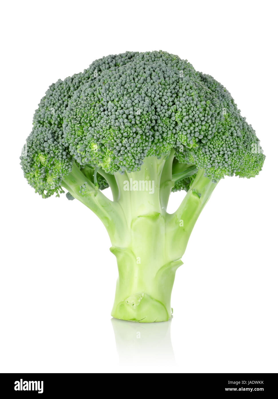 Ripe broccoli isolated on a white background Stock Photo - Alamy