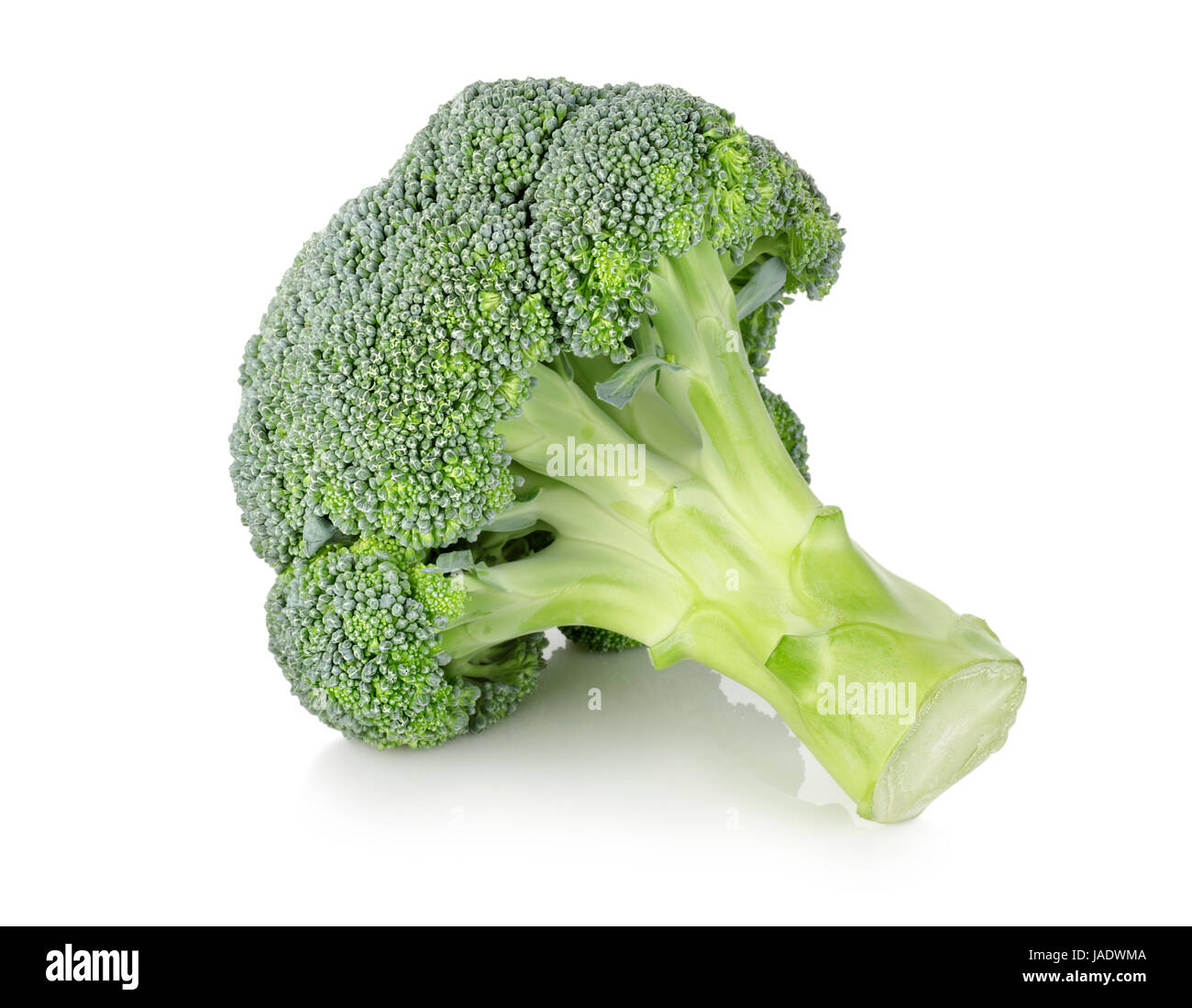 Ripe broccoli isolated on a white background Stock Photo - Alamy