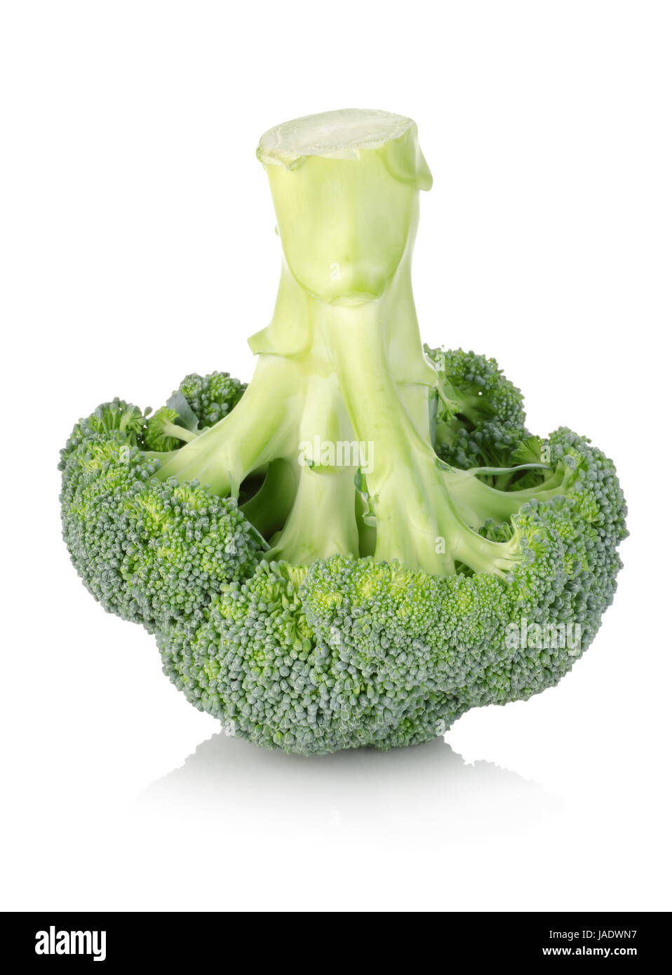 Ripe broccoli isolated on a white background Stock Photo - Alamy
