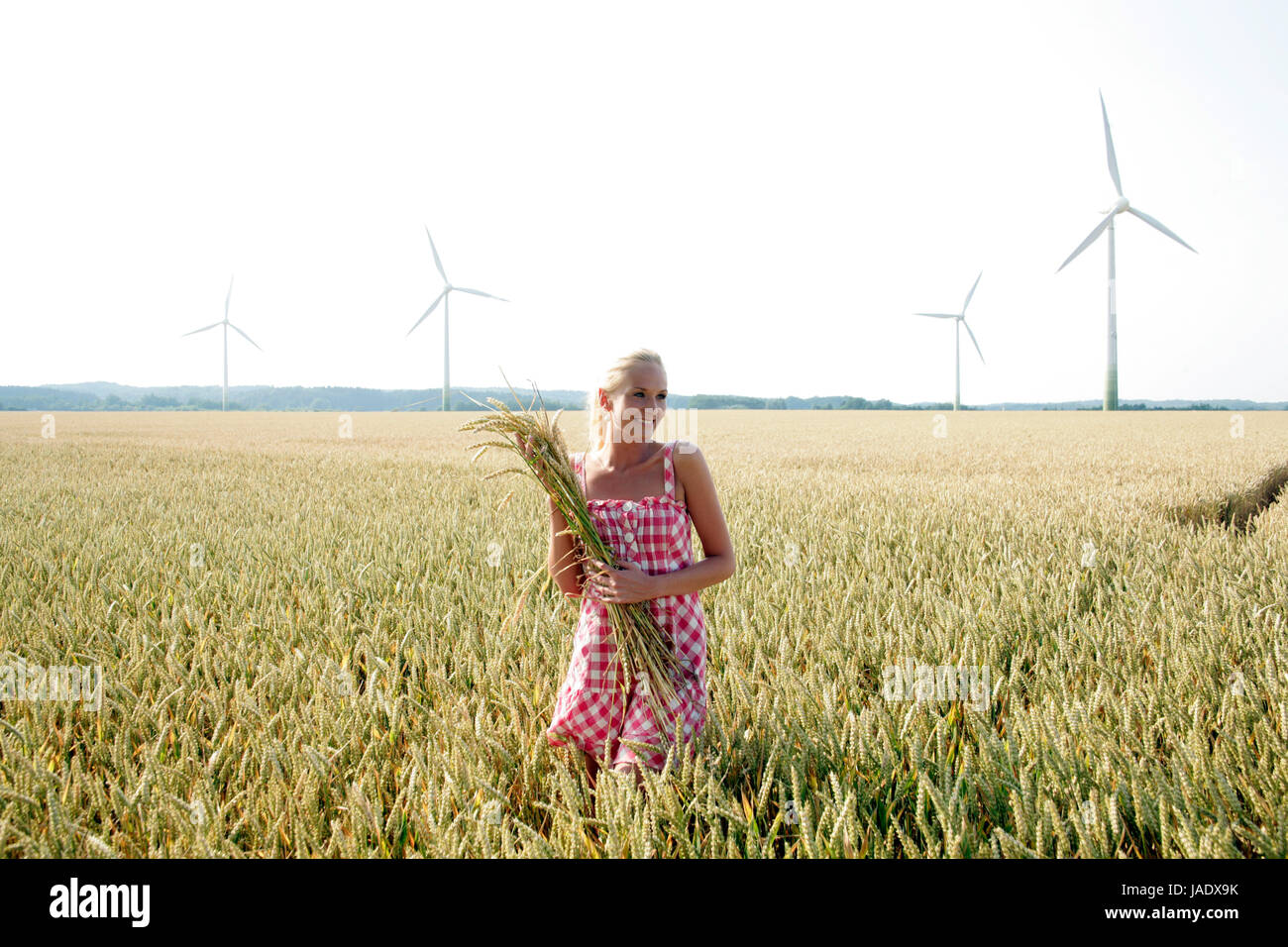 wind energy scenery Stock Photo - Alamy