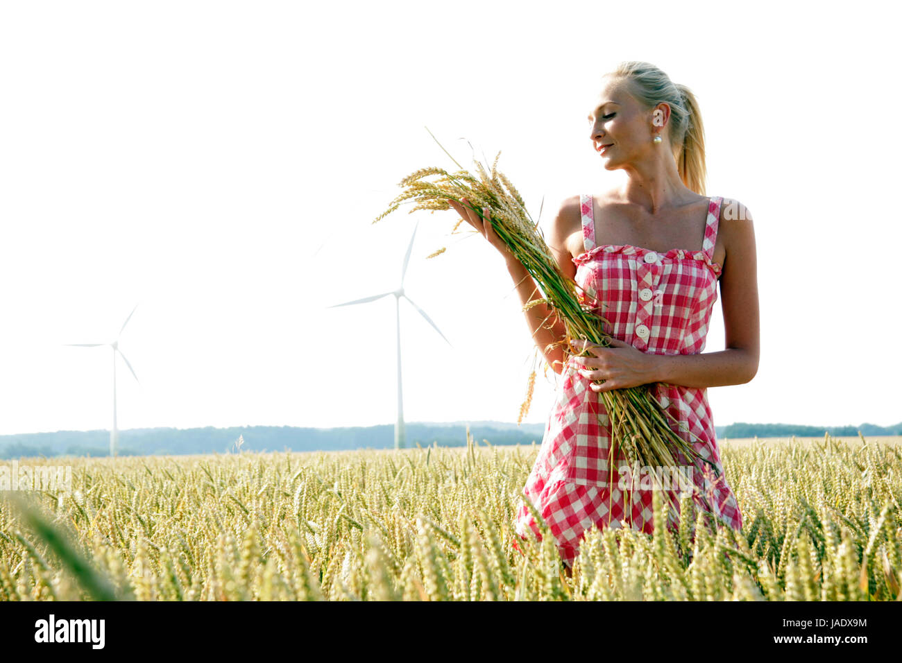 wind energy scenery Stock Photo - Alamy