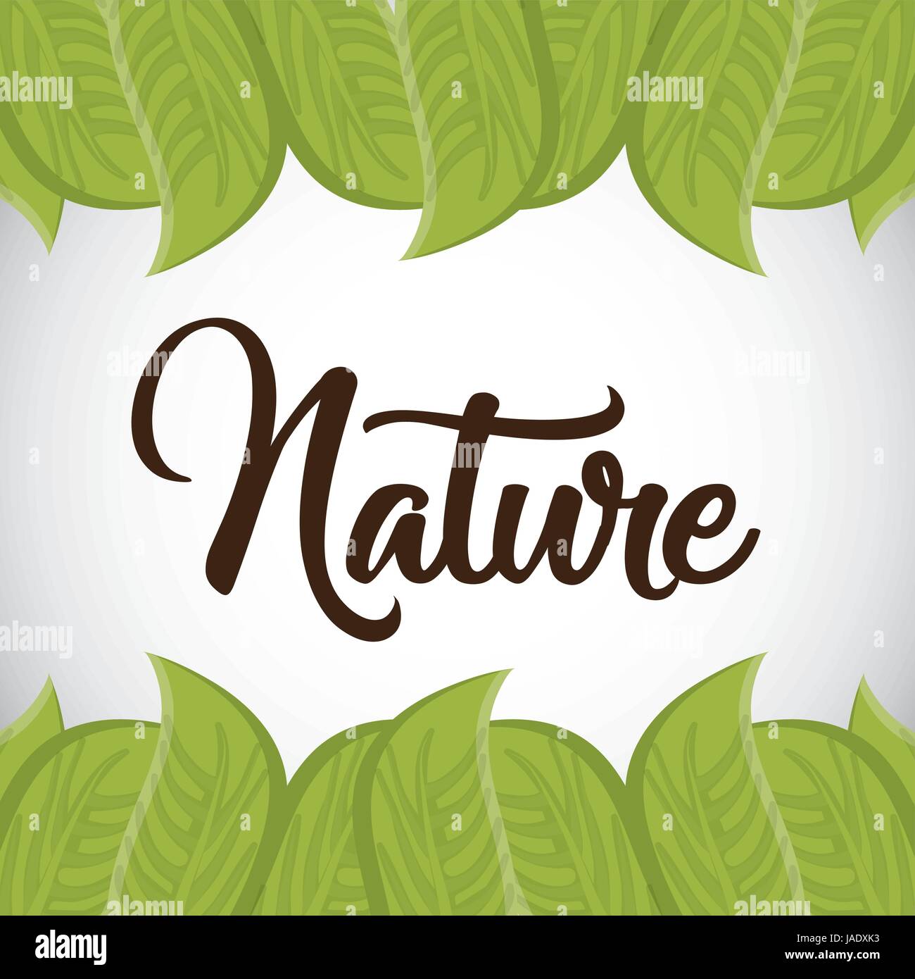 nature and leaves design Stock Vector Image & Art - Alamy